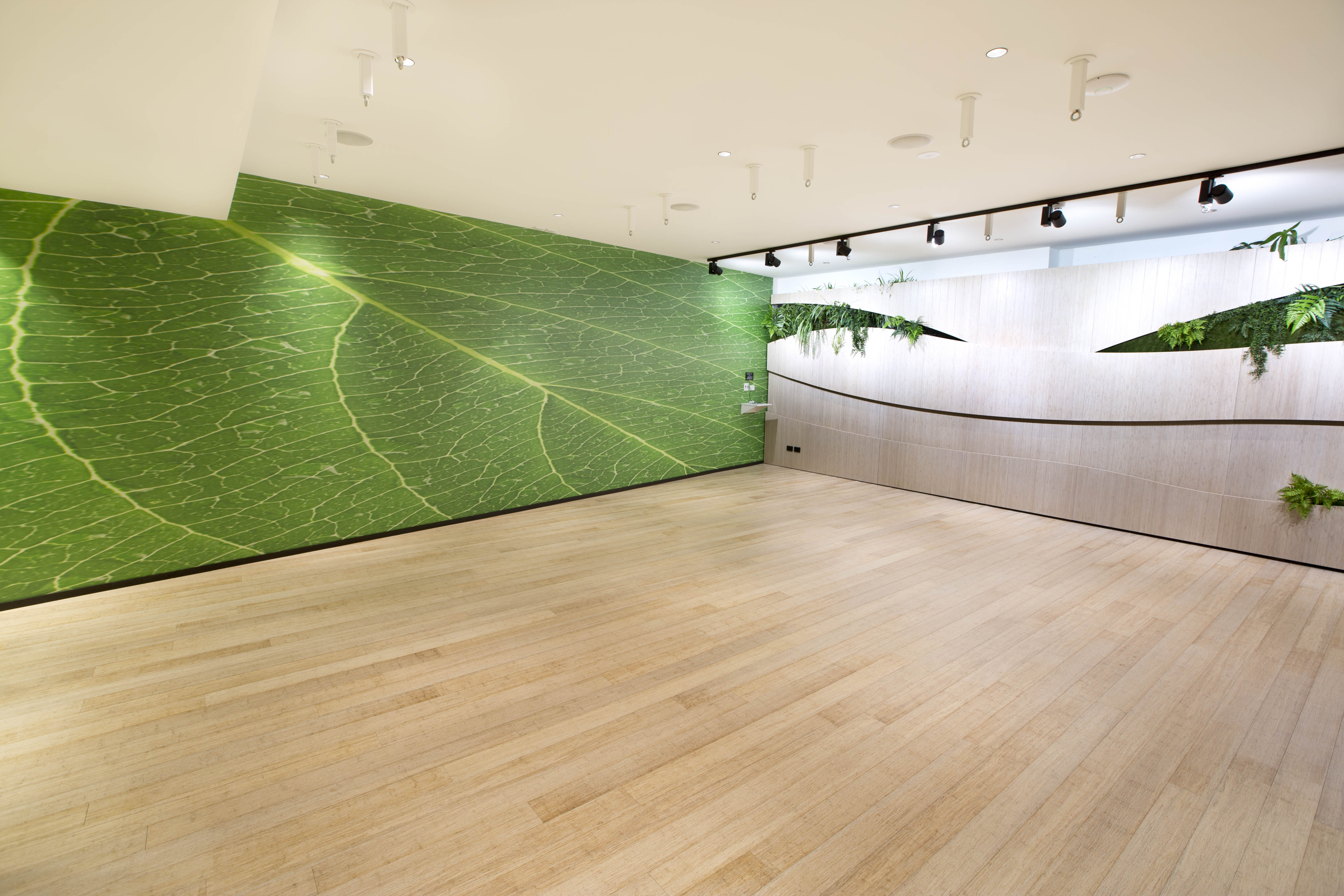 Embody - Evolve Constructions